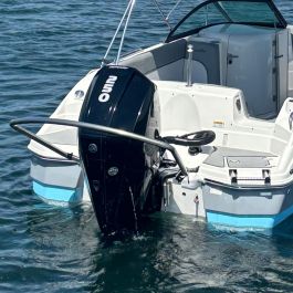 TurboSwing Max Ski Tow Bar